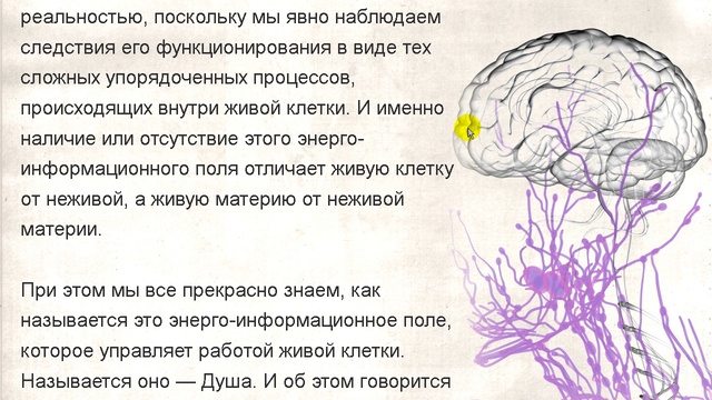 Очистка лимфы по бутаковой схема