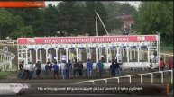 Лошади завода «Восход» заняли первое место на скачках в Краснодаре