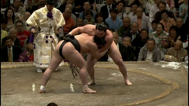 Hakuho Harumafuji