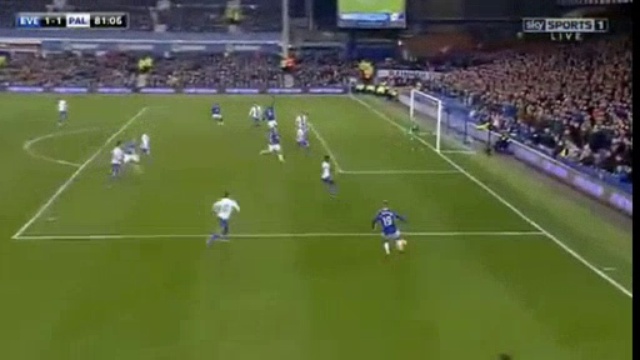 Everton 1-1 Crystal Palace - Goal by S. Dann (76')