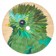 LE PLUMAGE FLAMBOYANT D'UN OISEAU DE LIBERTÉ (Le Quetzal) @XRby La Montre d'art #RoseSaneuil