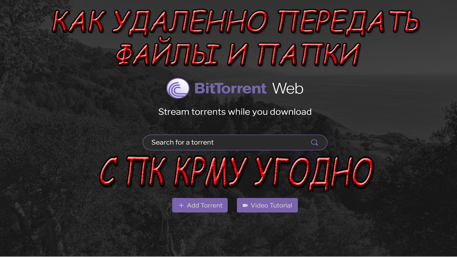 как убрать только для чтения с папки steam фото 56