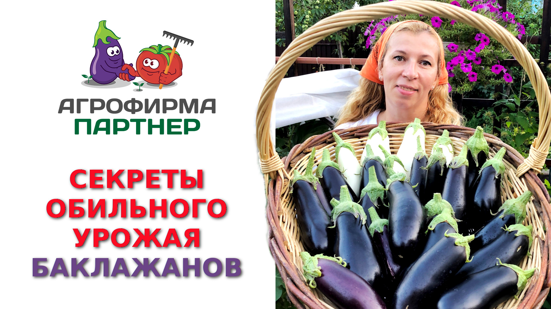 Теплица для баклажан Марина Рыкалина