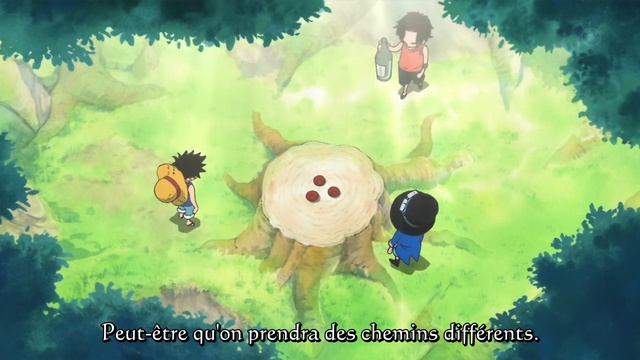 One Piece 679 VOSTFR HD