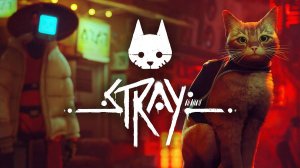 Stray