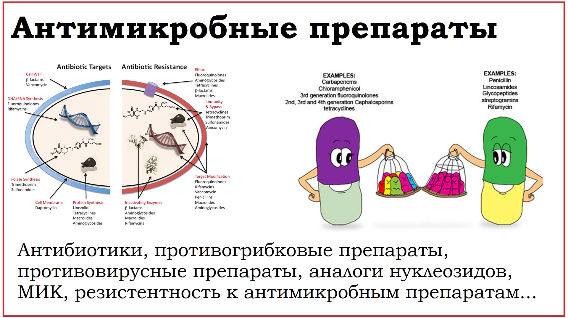 Антибиотики и другие антимикробные препараты