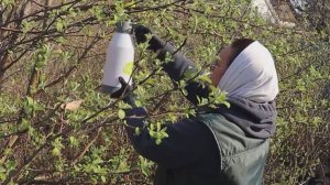 Осенние работы в саду и на огороде