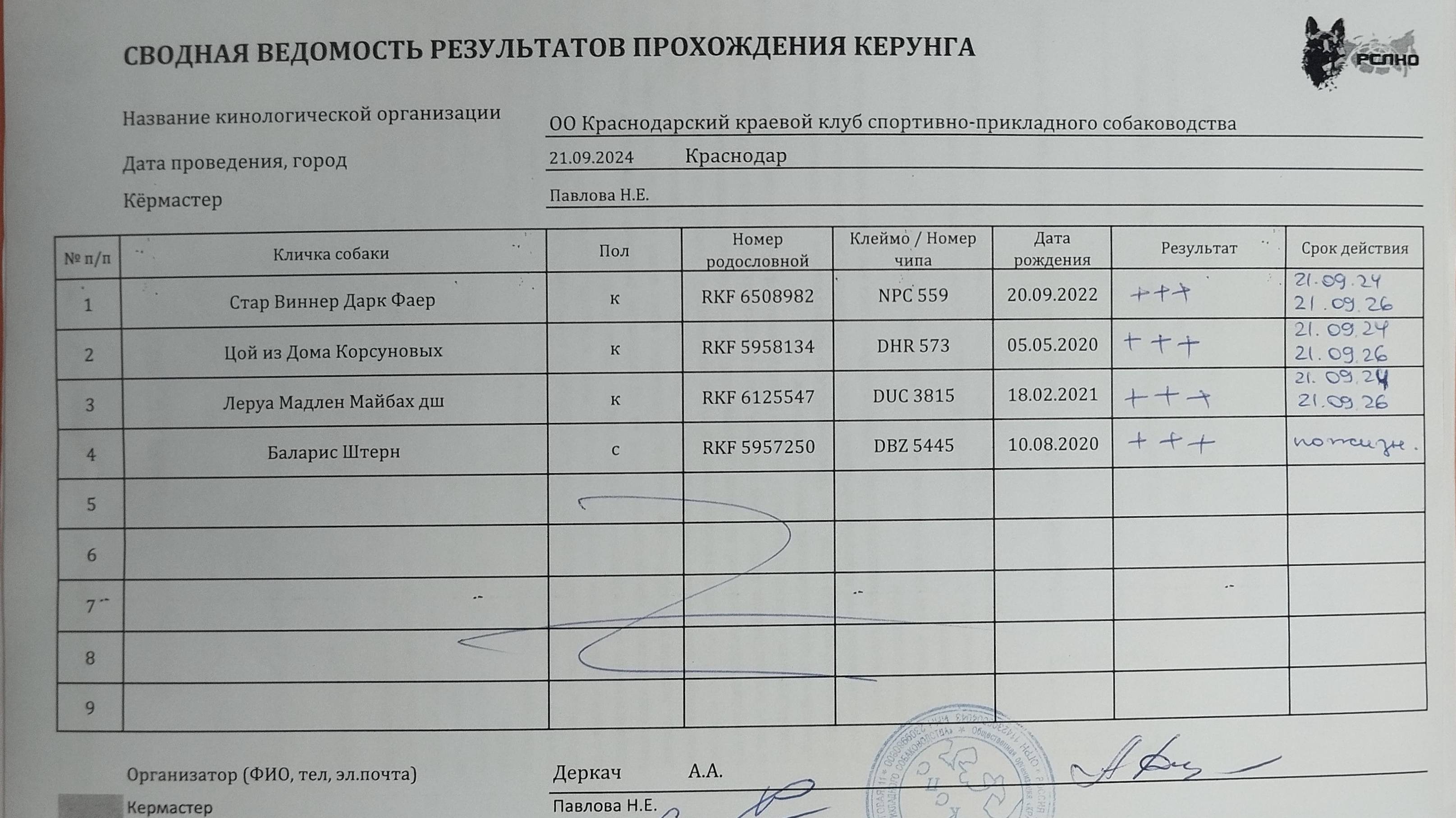 Кёрунг КРАСНОДАР сб 21 сен`24 (Н.Павлова) 4 собаки