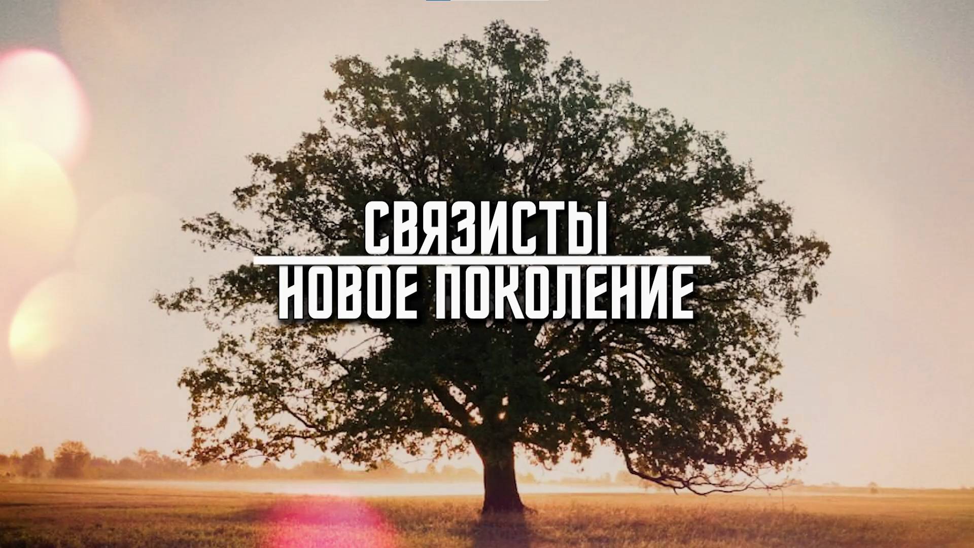 СВЯЗИСТЫ. НОВОЕ ПОКОЛЕНИЕ | Цикл портретных интервью