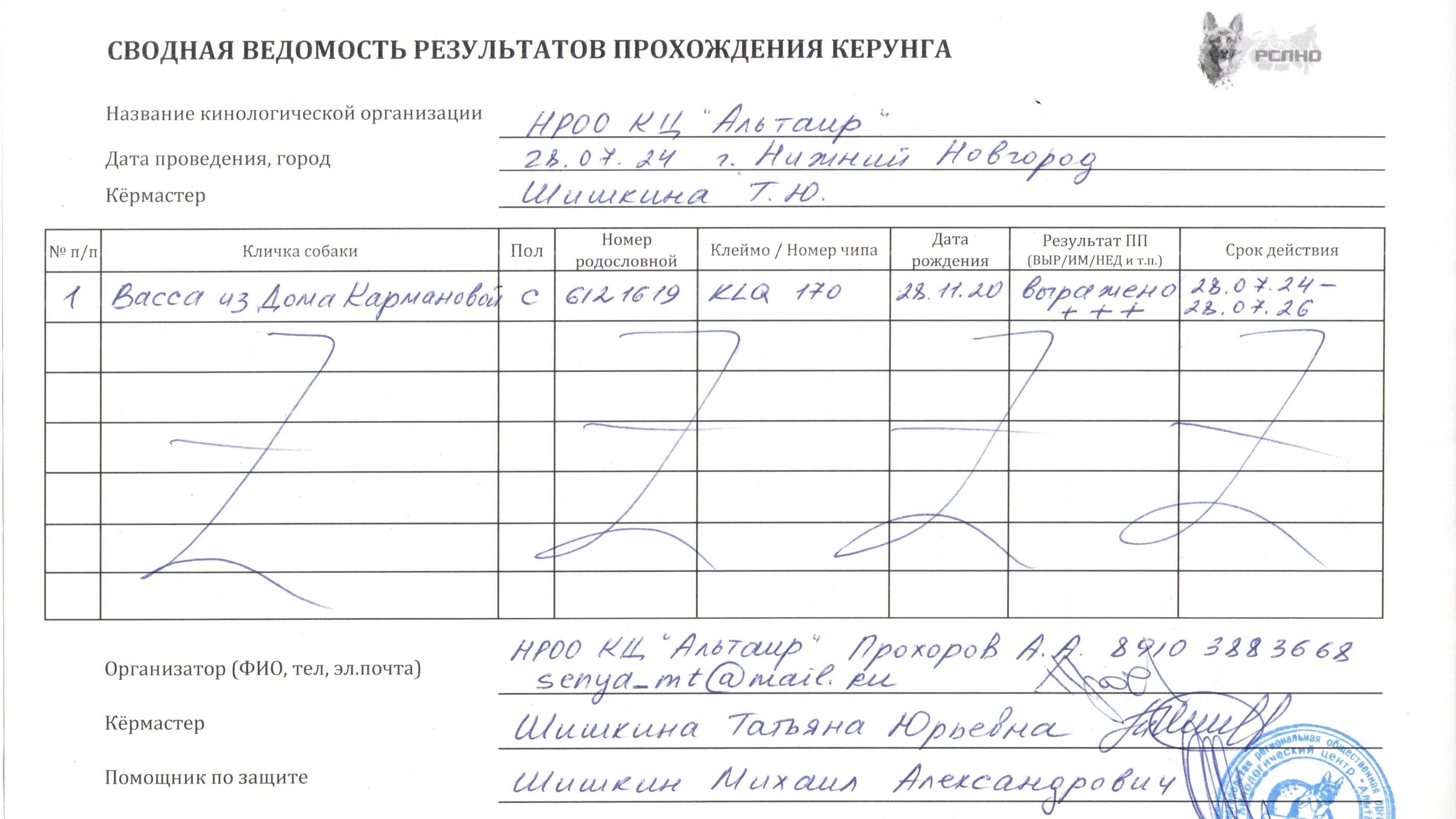 Кёрунг НИЖНИЙ НОВГОРОД вс 28 июл`24 (Т.Шишкина) 1 собака