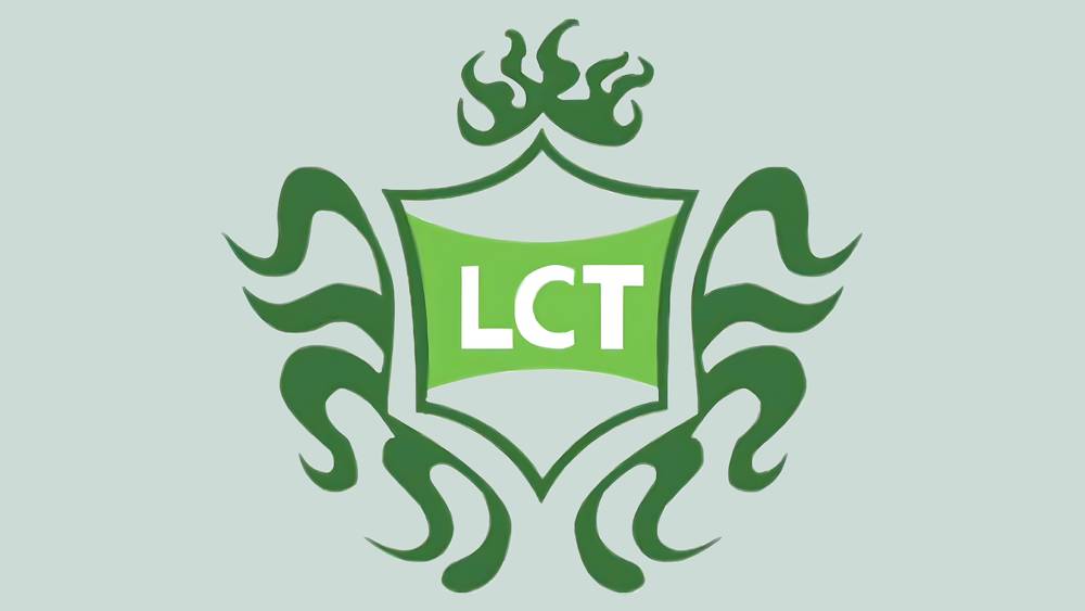 Обзоры товаров бренда LCT