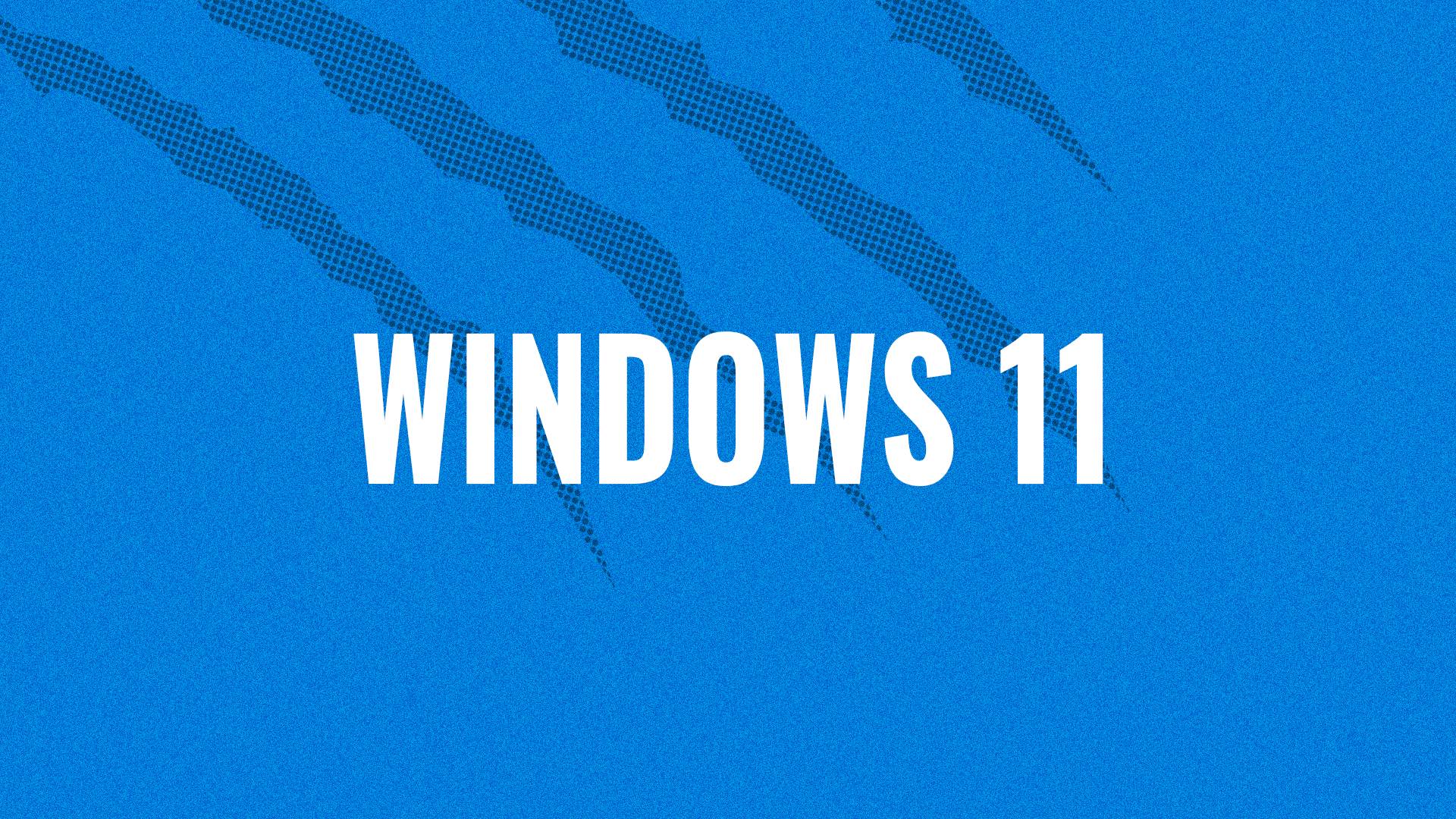 Windows 11