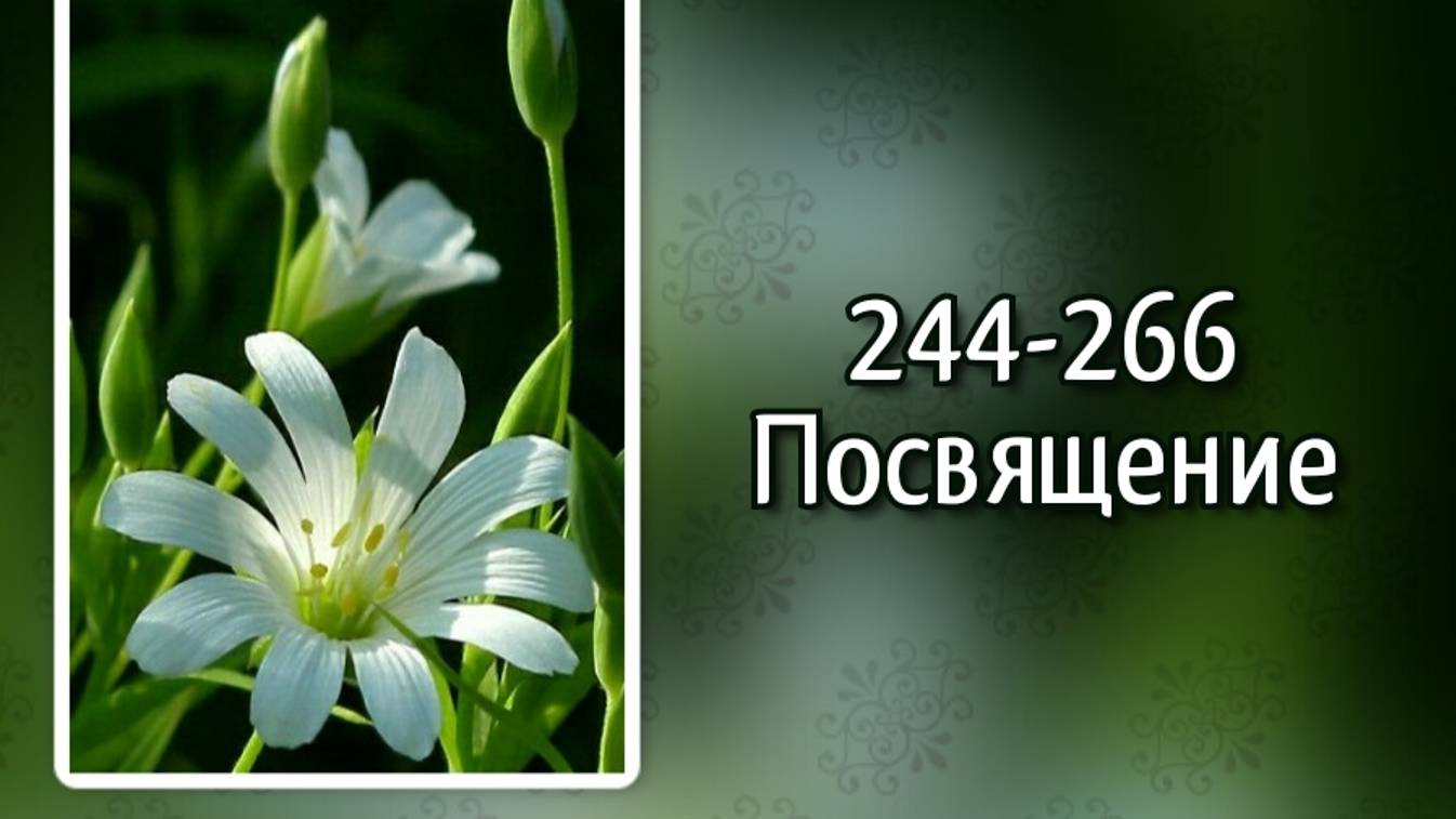 Гимны надежды 244-266 Посвящение