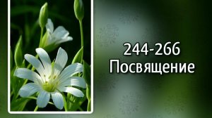 Гимны надежды 244-266 Посвящение