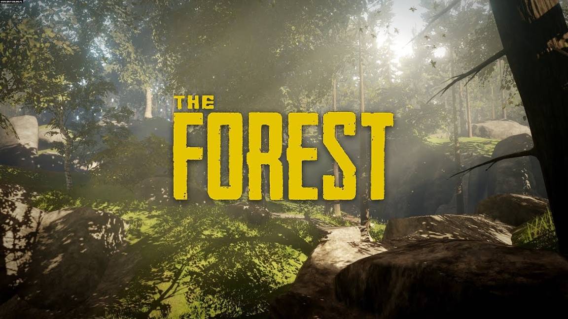 The forest