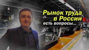 Все для поиска работы