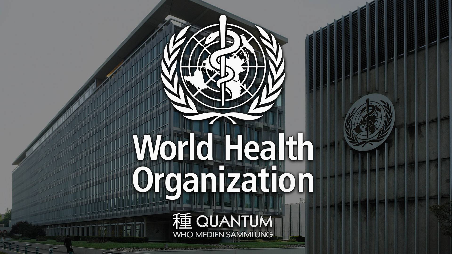 WHO | World Health Organization