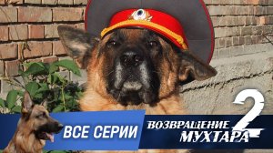 Возвращение Мухтара — 2. Смотреть все серии в HD