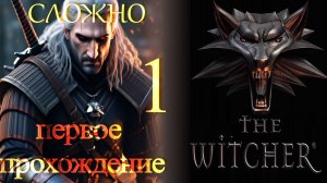 The Witcher 1