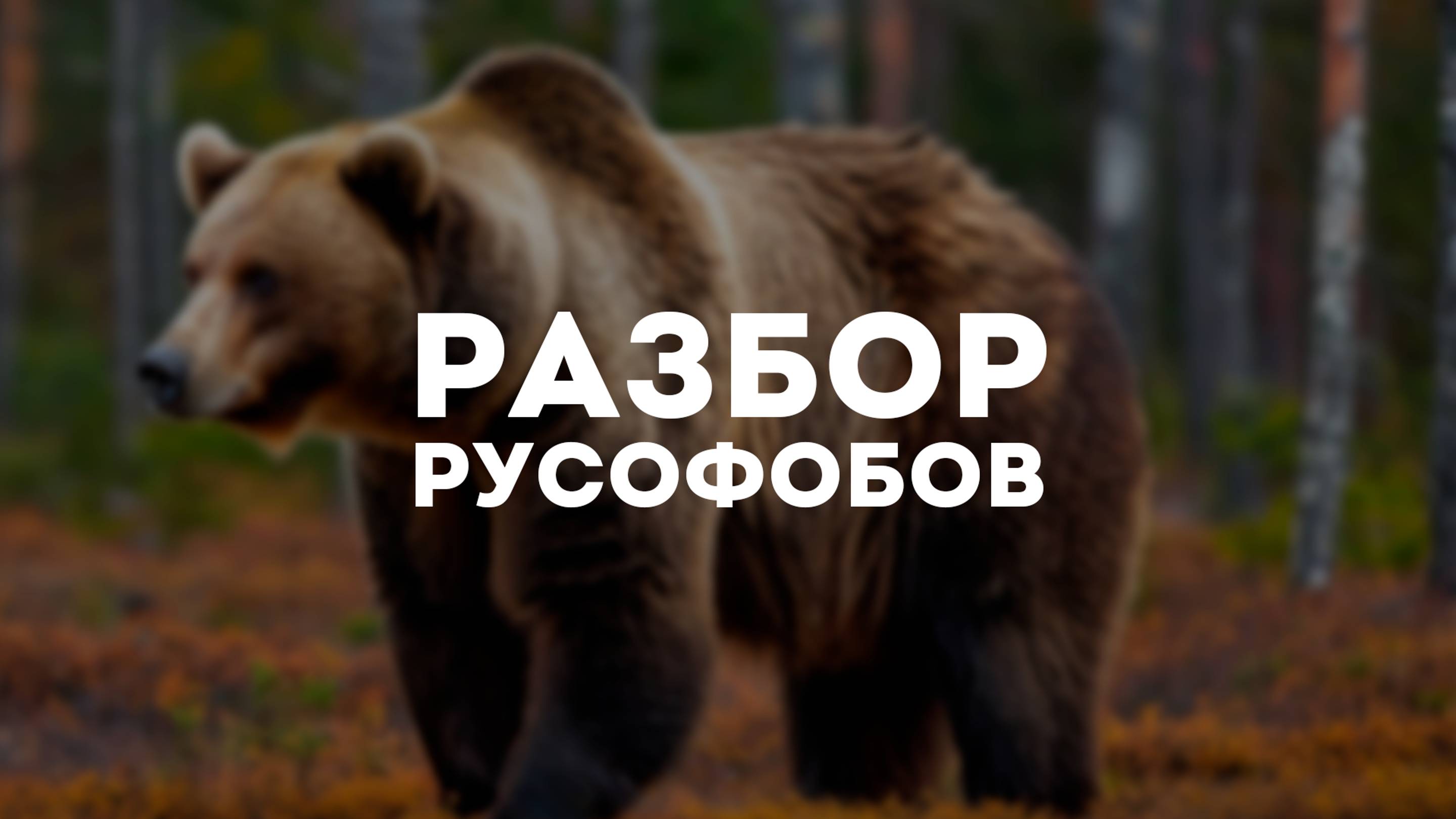 Разбор русофобов