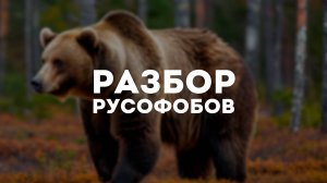 Разбор русофобов