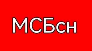 МСБсн - Международное Сообщество Борьбы с неонацизмом