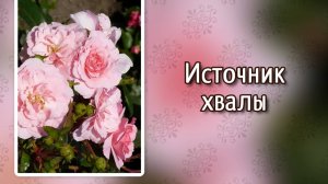 Источник хвалы