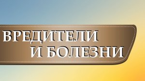 Вредители и болезни