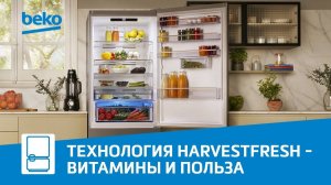 Холодильники Beko