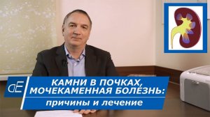 Болезни почек и тазовых органов