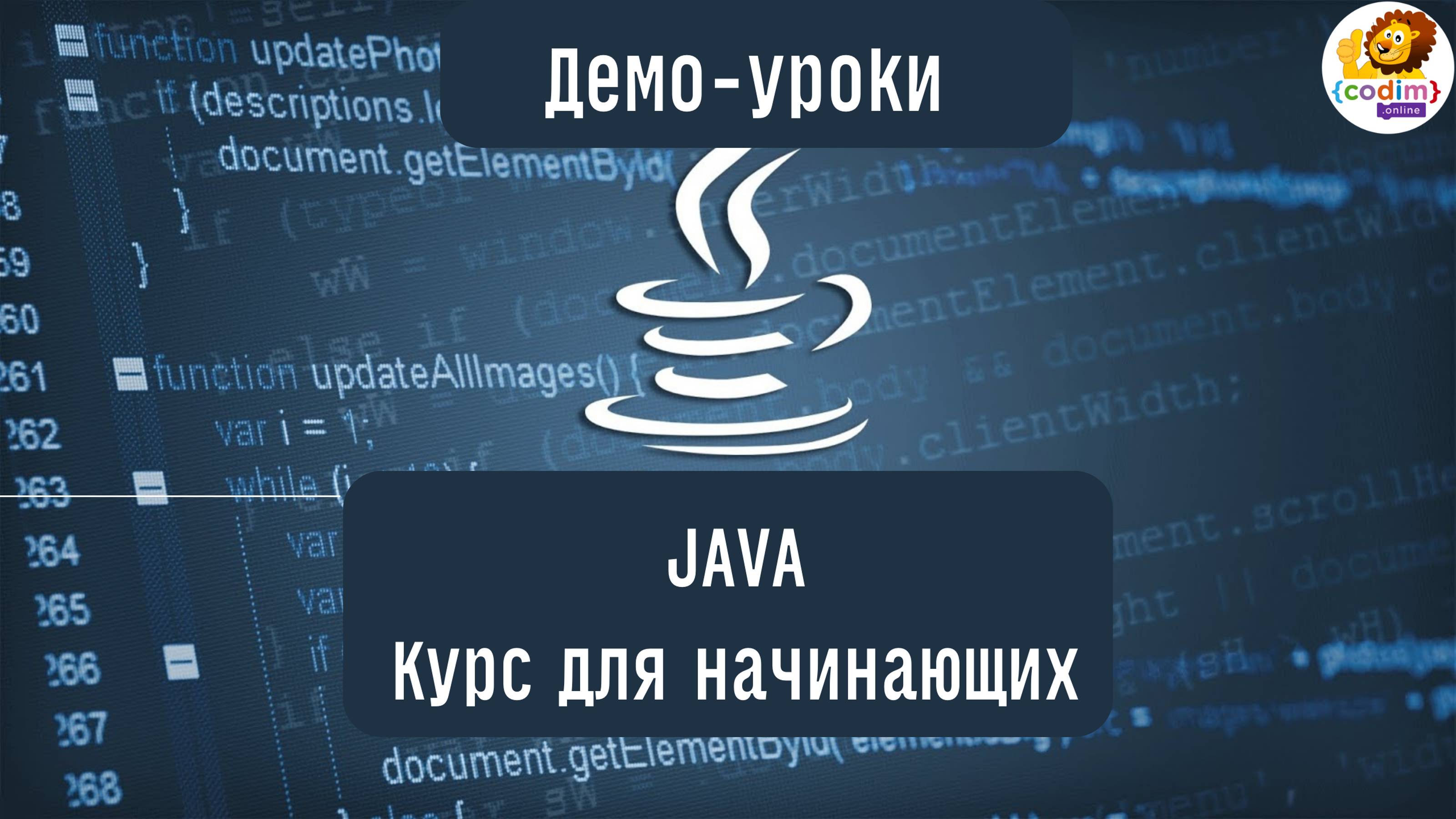 JAVA  ДЕМО-УРОКИ