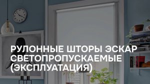 Рулонные шторы Эскар светопропускаемые (эксплуатация)