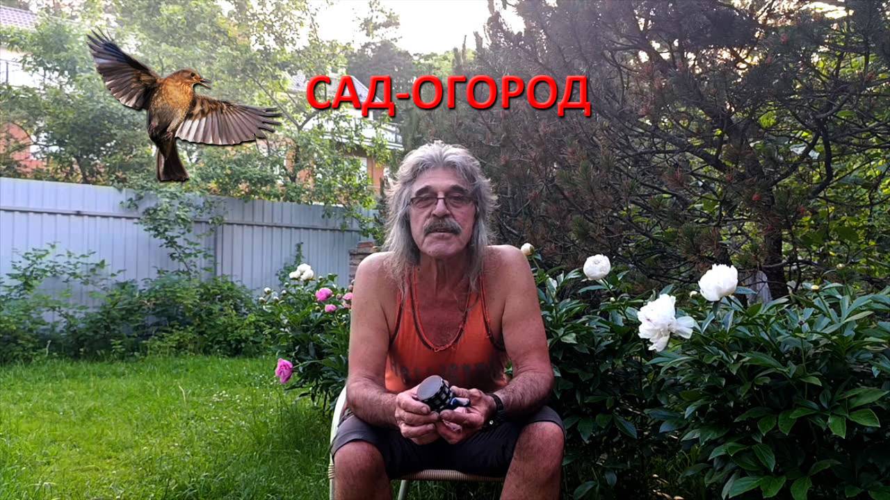 Сад-огород.