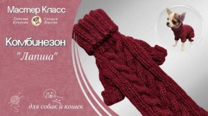 Как связать шапку для собаки спицами - Master ClassFor animals - Knitting with knitting needles