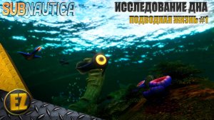 Subnautica