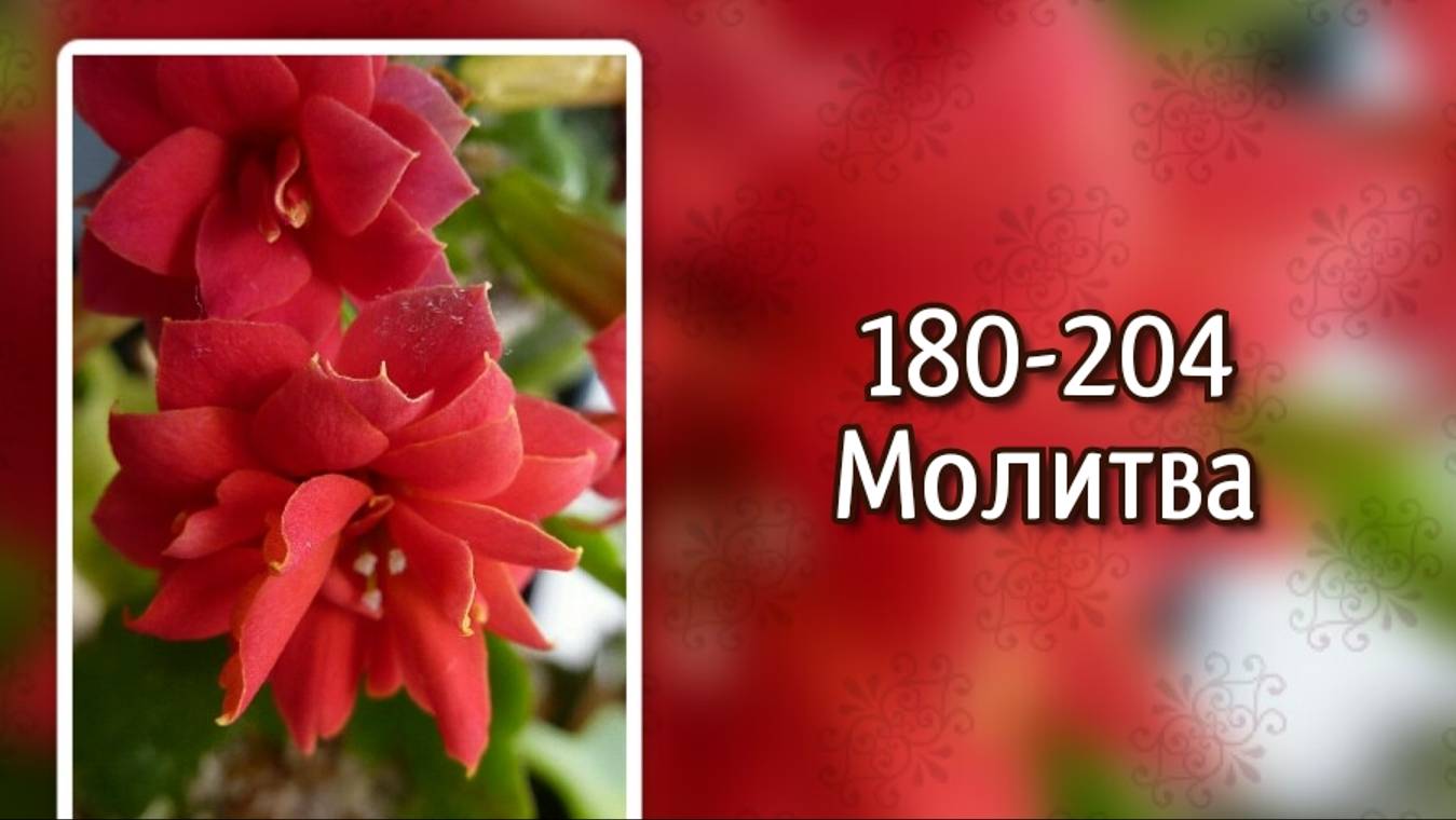 Гимны надежды 180-204 Молитва