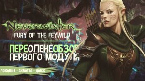 «Хроники Берега Мечей» ◈ Отдельный большой раздел по игре Neverwinter