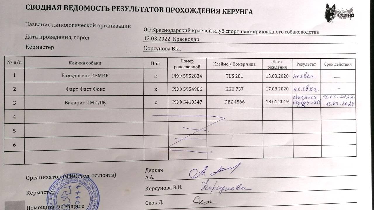 Кёрунг КРАСНОДАР вс 13 мар`22 (В.Корсунова) 3 собаки