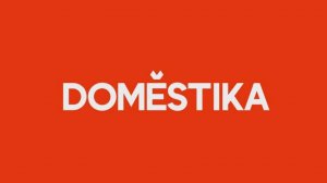 Domestika