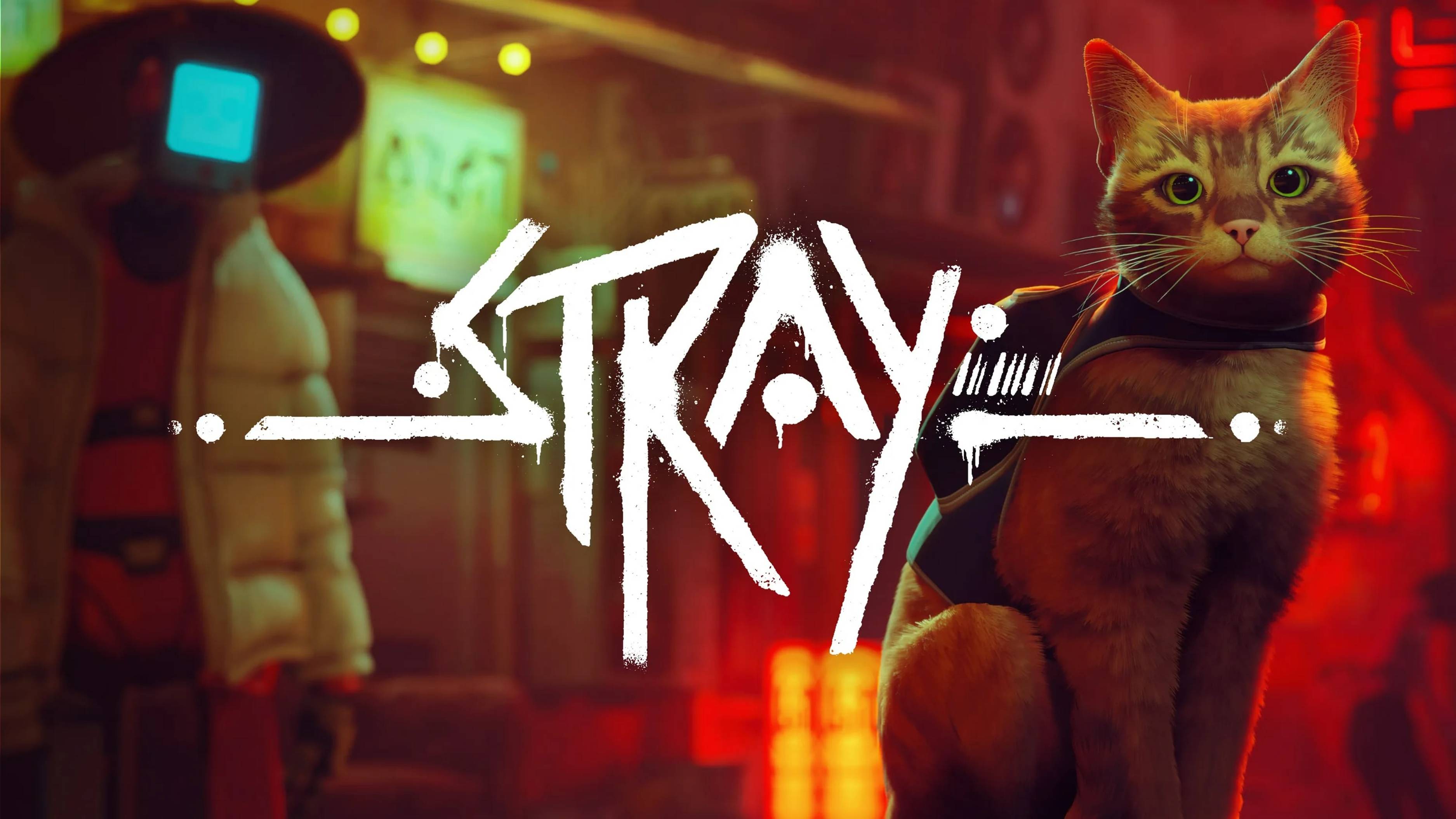 Stray