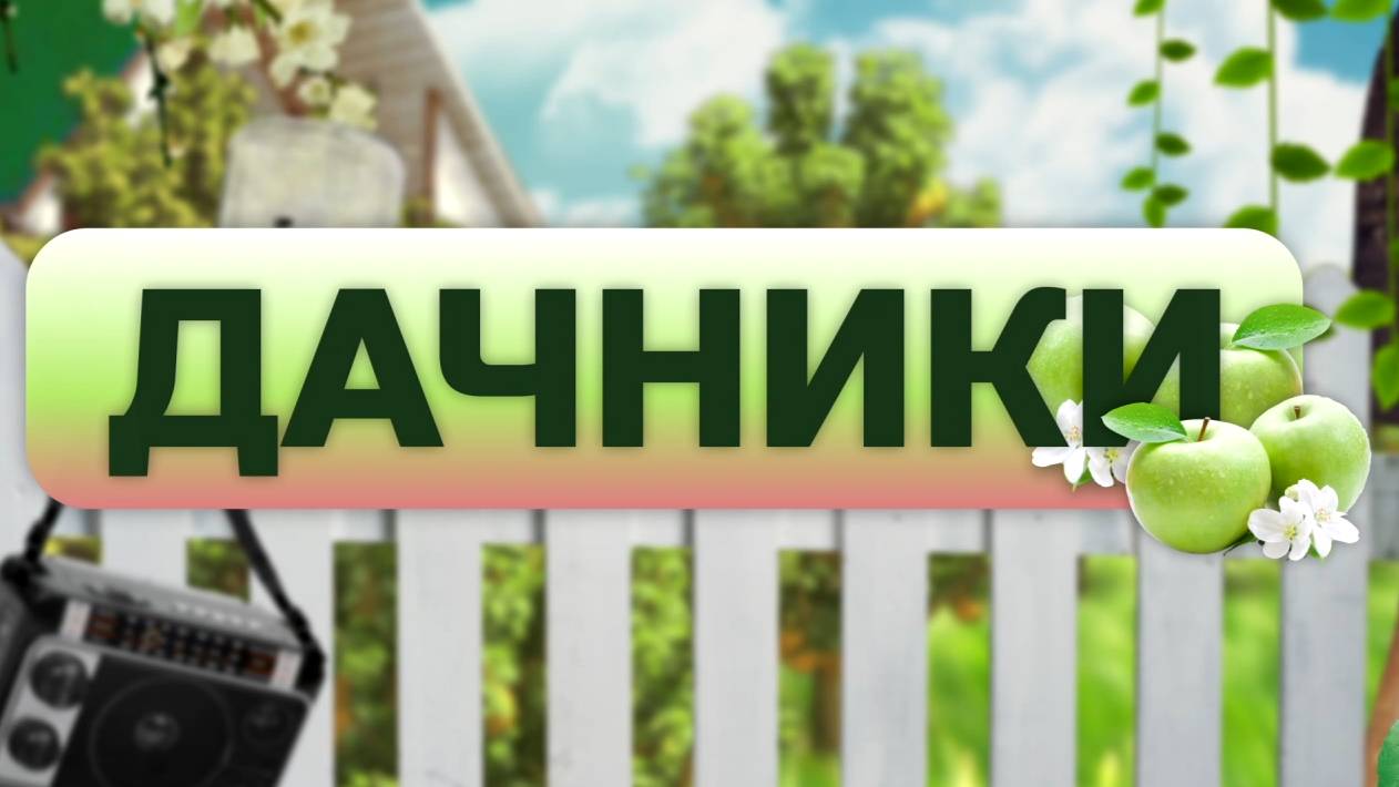 Дачники