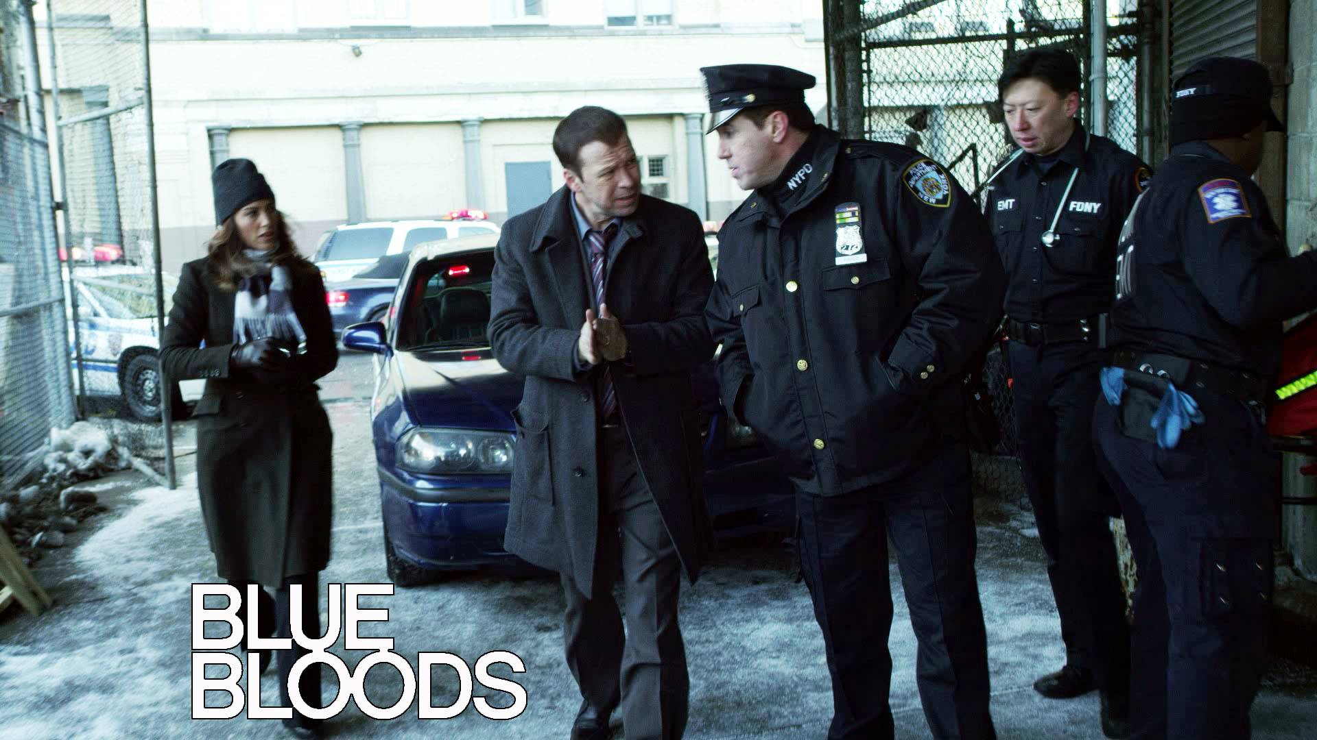 Голубая кровь - 6 сезон / Blue Bloods