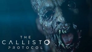 The Calisto Protocol