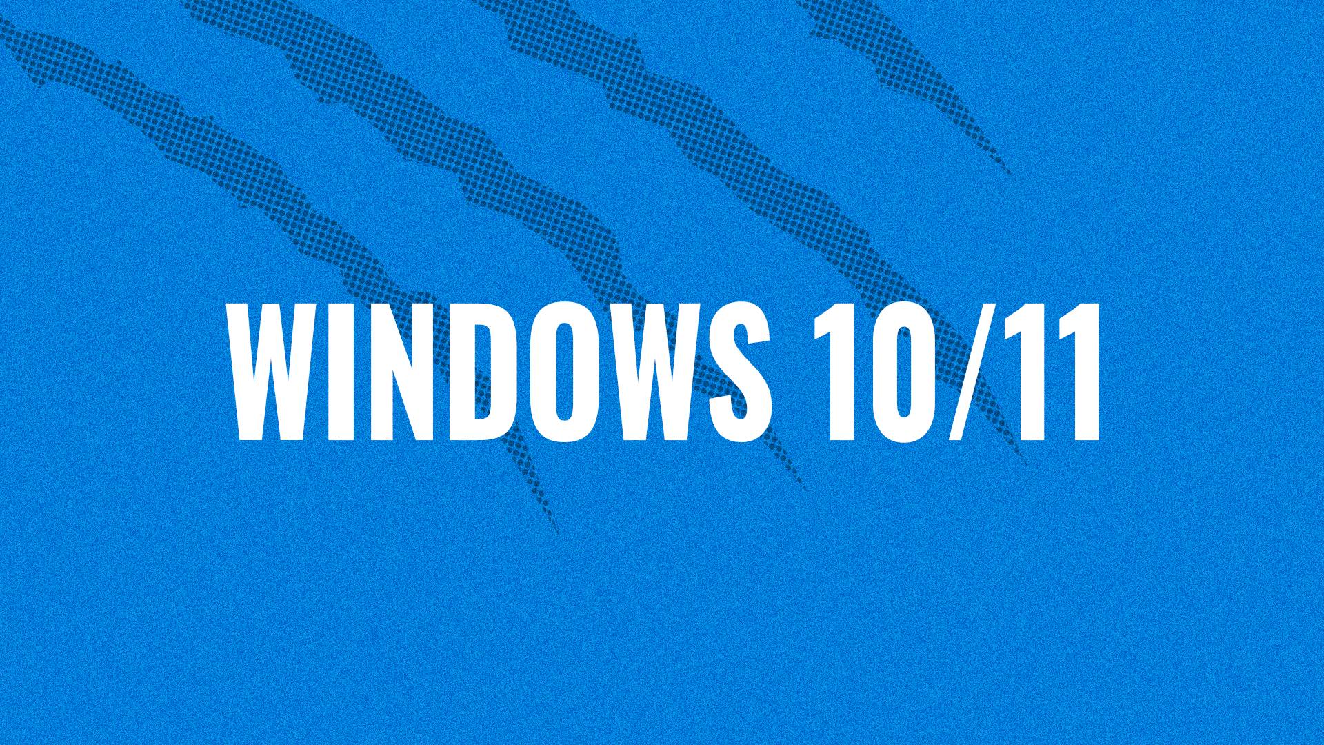 Windows 10/11