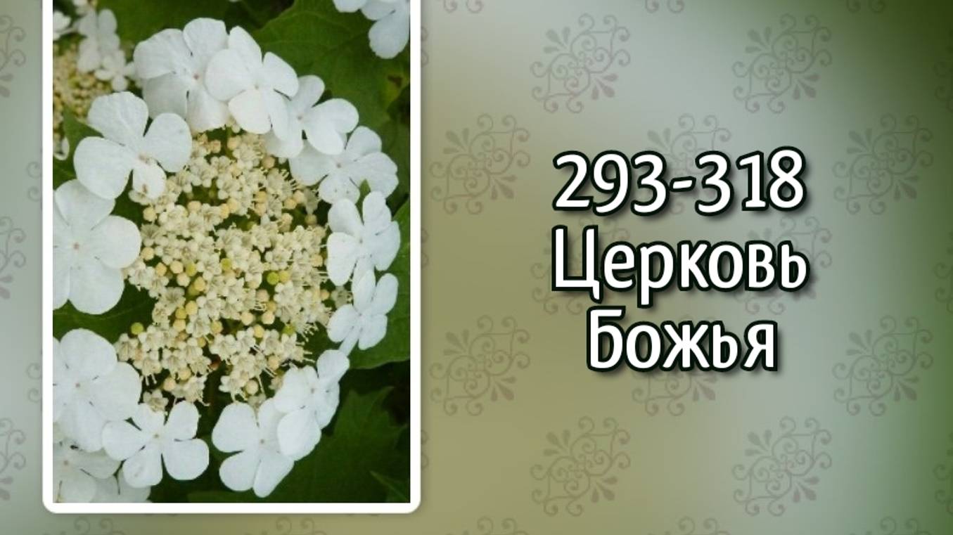 Гимны надежды 293-318 Церковь Божья