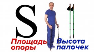 Двухопорная ходьба.