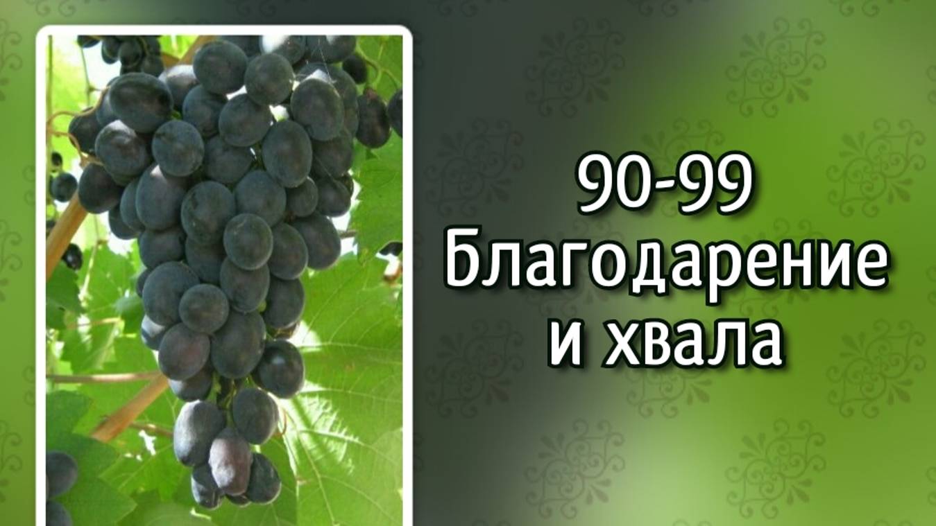 Гимны надежды 90-99 Благодарение и хвала