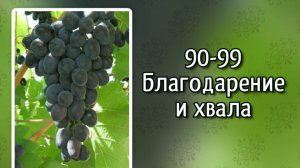 Гимны надежды 90-99 Благодарение и хвала