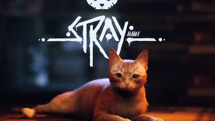 STRAY