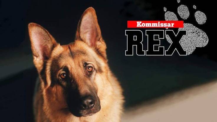 Сериал Комиссар Рекс - Все серии / Kommissar Rex